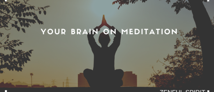 Your Brain on Meditation | Zenful Spirit